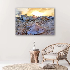 Gario Obraz na plátně Mušle a kameny Rozměry: 60 x 40 cm
