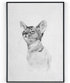 Plakát / Obraz Sphynx Pololesklý saténový papír 210 g/m² A4 - 21 x 29,7 cm