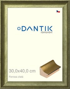 DANTIK rámeček 30x40 | Ferrosa zlatá (Plexi Čiré)