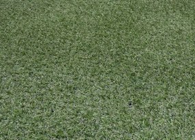 Koberce Breno  Umělá tráva PRADO, šíře role 400 cm, Zelená