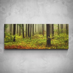 Obraz - Listnatý les - PopyDesign