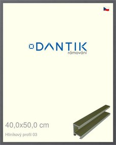 DANTIK rámeček 40x50 | ALU profil 7003 Platina matná (Sklo Čiré)