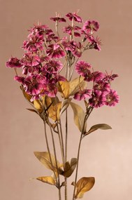 Paramit DRY DIANTHUS Aranžovací květina červená 65 cm