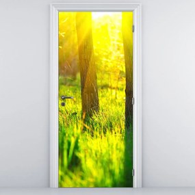 Fototapeta na dveře - Jarní probouzení lesa (95x205cm)