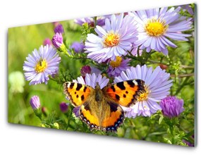 Obraz na skle Květiny Motýl Příroda 125x50 cm