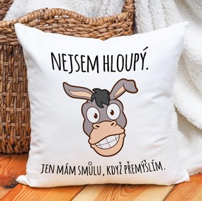 Ahome CZ Polštář Nejsem hloupý