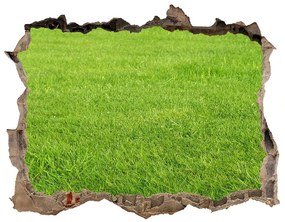 Wallmuralia Díra 3D ve zdi nálepka Zelená tráva 95x64 cm