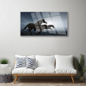 Obraz na skle Koně Zvířata 100x50 cm