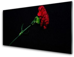 akrylový obraz Květ Rostlina Příroda 140x70 cm
