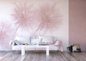 Fototapeta na zed' Odkvetlá Pampeliška | 360 x 254 cm | DFTS1326