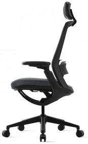 Kancelářská ergonomická židle ROLY BLACK - síťovina Office Pro Černá