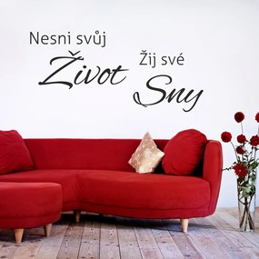 Samolepky na zeď - Žij své Sny Barva: Stříbrná, Velikost: 60x28 cm