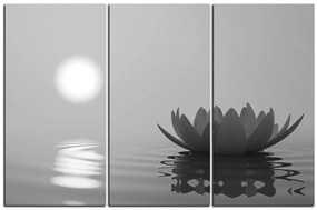 Obraz na plátně - Zen lotus 1167QB (135x90 cm)