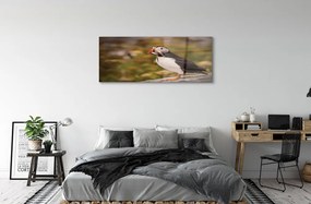 akrylový obraz Papoušek 120x60 cm