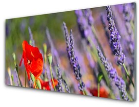 akrylový obraz Květiny Rostlina 125x50 cm