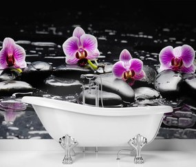 Fototapeta, Zenové kameny a orchideje - 250x175 cm