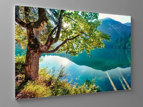Liox Obraz strom u alpského jezera Rozměr: 120 x 80 cm