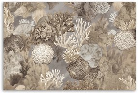 Gario Obraz na plátně Mořští živočichové a korály Rozměry: 60 x 40 cm