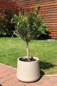 Květináč TROPICO, sklolaminát, výška 29 cm, béžová