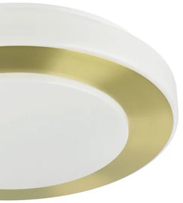 Eglo 900369 - LED Koupelnové stropní svítidlo CARPI LED/10,8W/230V IP44
