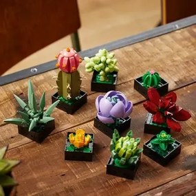LEGO® Botanicals 10309 Sukulenty / Počet dílků: 771 / od 18 let