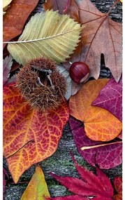 Vliesová fototapeta Podzimní listí 150 x 250 cm + lepidlo zdarma / MS-2-0112 vliesové fototapety na zeď DIMEX