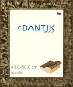 DANTIK rámeček 40x50 | Dora Gold (Plexi Čiré)