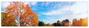 Obraz - Podzimní krajina (170x50 cm)