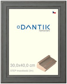 DANTIK rámeček 30x40 | STEP tmavěšedá (Plexi Čiré)