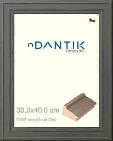 DANTIK rámeček 30x40 | STEP tmavěšedá (Plexi Čiré)