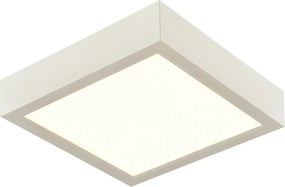 XXXLutz STROPNÍ LED SVÍTIDLO, 22,5/22,5/3,6 cm Boxxx - Stropní svítidla - 008227078202