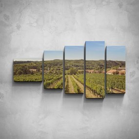 5-dílný obraz - Pohled na vinici - PopyDesign