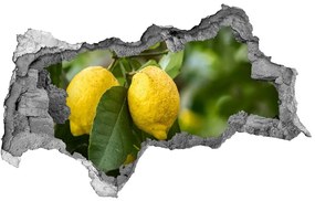 Wallmuralia Samolepící nálepka Citrony na stromě 95x73 cm