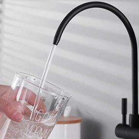 Rea Eco Fresh, dřezová baterie s výtokem pro filtr pitné vody, černá matná, REA-B7564