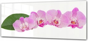 Skleněný obraz do obývacího pokoje 150x60 s potiskem orchidej