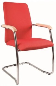 Jednací židle REKIN PROKUR Cantilever - nosnost 120 kg - výběr barevného provedení - 3D5956