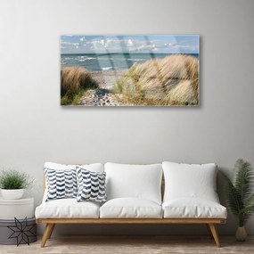 Plexisklo-obraz Pláž Moře Tráva Krajina 100x50 cm