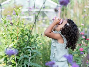 Little Dutch Dalekohled Fairy Garden