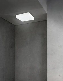 Moderní stropní svítidlo Cube 20.5 bílé