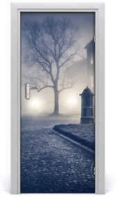 Fototapeta samolepící dveře ulice mlha 75x205 cm