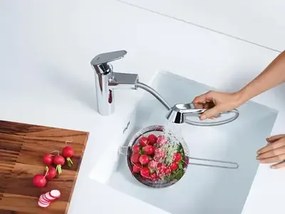 Grohe Eurodisc Cosmopolitan - Páková dřezová baterie chrom
