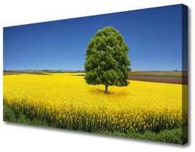 Obraz na plátně Louka Strom Příroda Pole 140x70 cm
