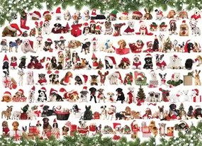 EUROGRAPHICS Puzzle Vánoční psi / 1000 dílků / 67,63 x 48,89 cm
