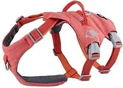 Hurtta & Co New Postroj Hurtta Safeguard jahodový 75-95