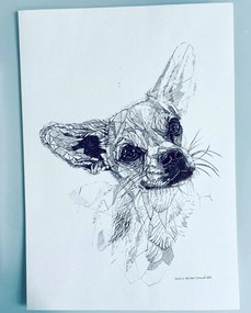 Pet Amour Originální portrét zvířete podle fotografie - Formát A4 Barva: bílé pero
