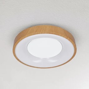 Brilagi - LED Stropní svítidlo DORIA LED/24W/230V