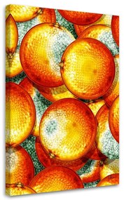 Gario Obraz na plátně Pomeranče - Rubiant Rozměry: 40 x 60 cm