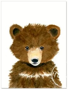 Obraz s motivem malovaná zvířecí mláďata Motiv: TX2075 medvěd, Rozměry (cm): 30x42 cm