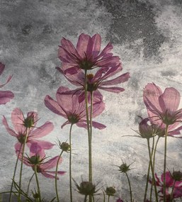 DIMEX | Vliesová fototapeta na zeď Abstrakt fialové květy MS-3-0363 | 225 x 250 cm | fialová, vícebarevná, šedá