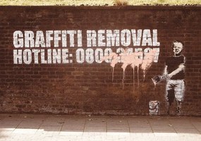 Plakát, Obraz - Banksy Street Art - Graffity Removal Hotline